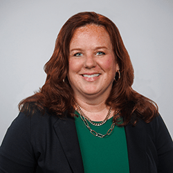 Programs and Communication Committee Co-Chair - Delaware Valley HIMSS
